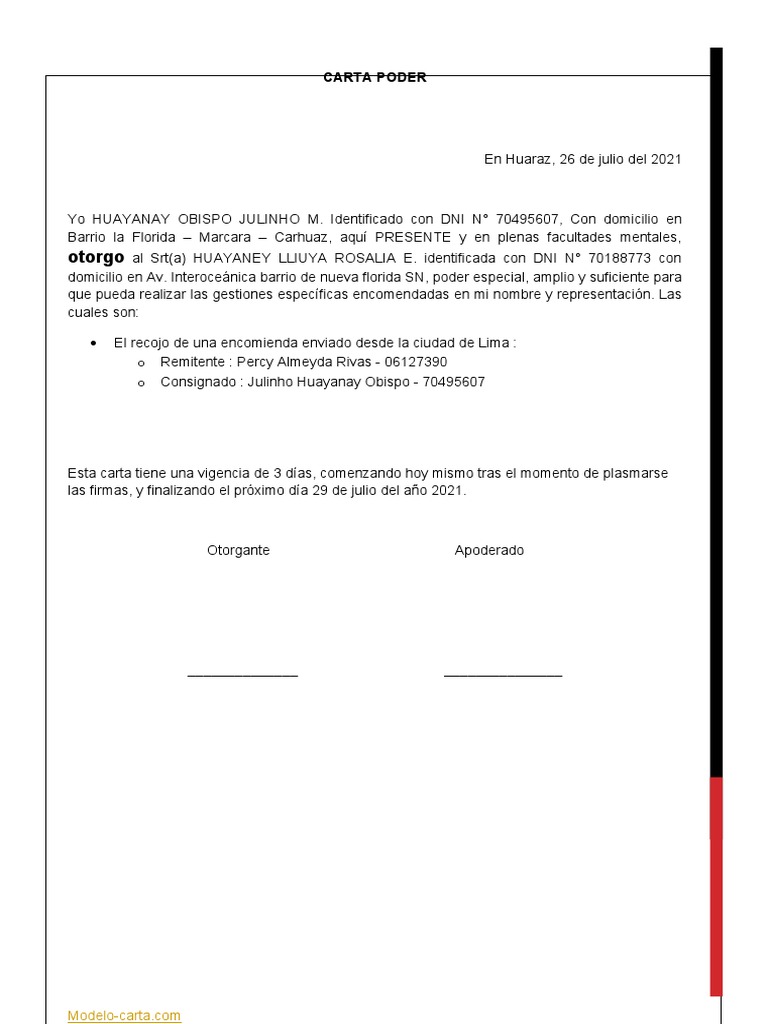 Carta Poder Simple | PDF