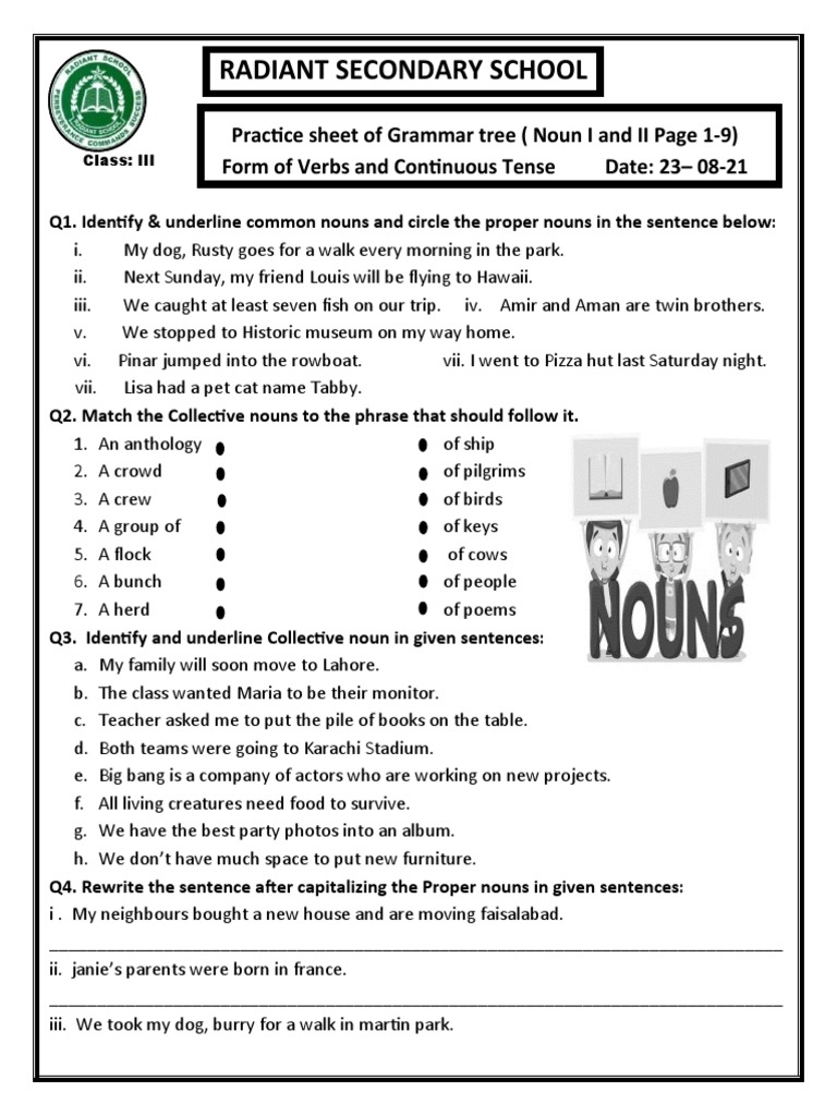 Class IV Marigold | PDF | Foods | Noun