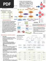 Hospital Design Concepts Overview | PDF | Hospital | Patient