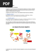 Digestión: Bolo, Quimo y Quilo | PDF | Digestión | Tracto gastrointestinal