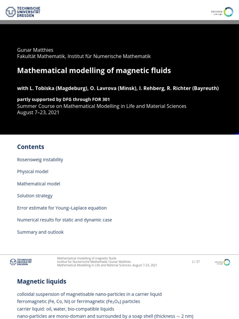 Lecture-1 - Mathematical Modelling of Magnetic Fluids - by Prof. Gunar Matthies | PDF ...