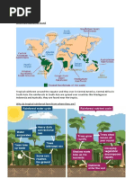 Geography Lesson 10: Forest Ecosystems | PDF | Trees | Rainforest