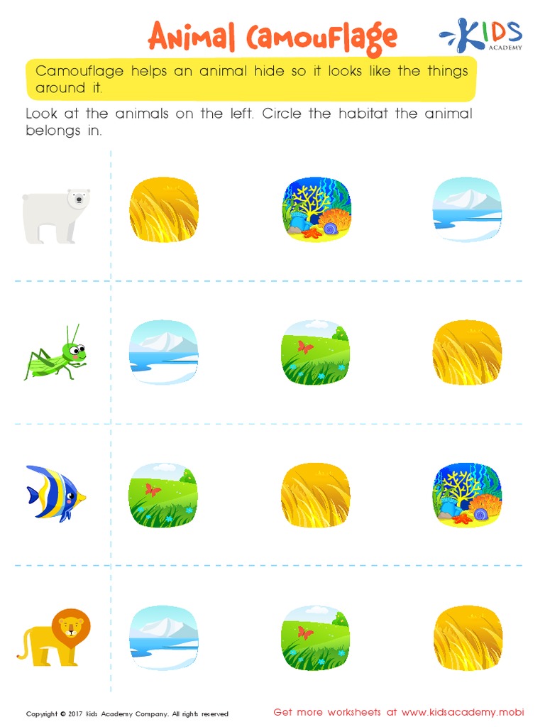 Grade 1 Animal Camouflage Worksheet | PDF