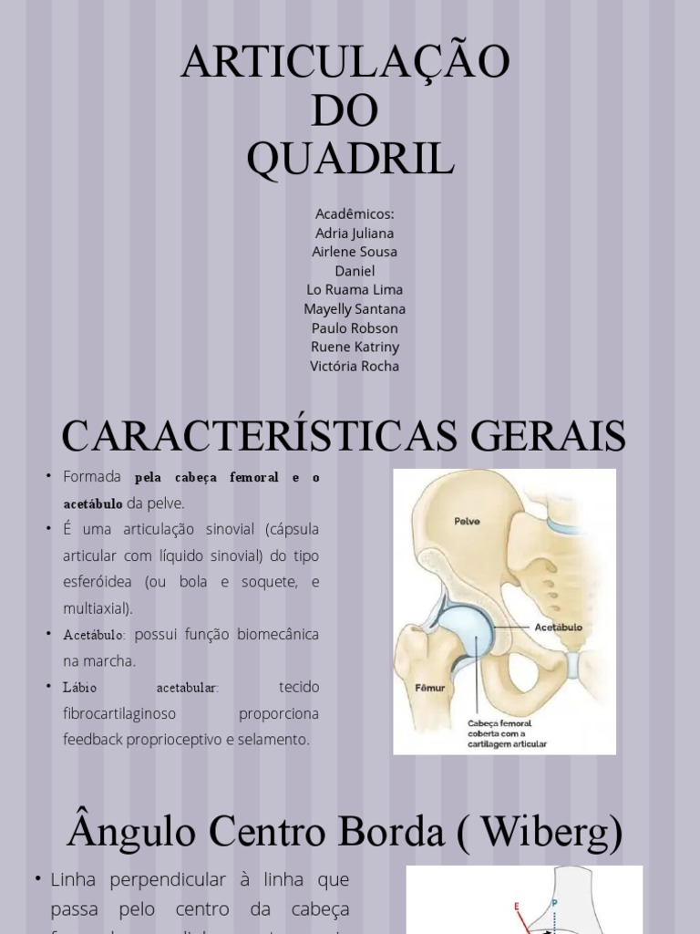 Slide Articulação Do Quadril | PDF | Anatomia humana | Membros (anatomia)