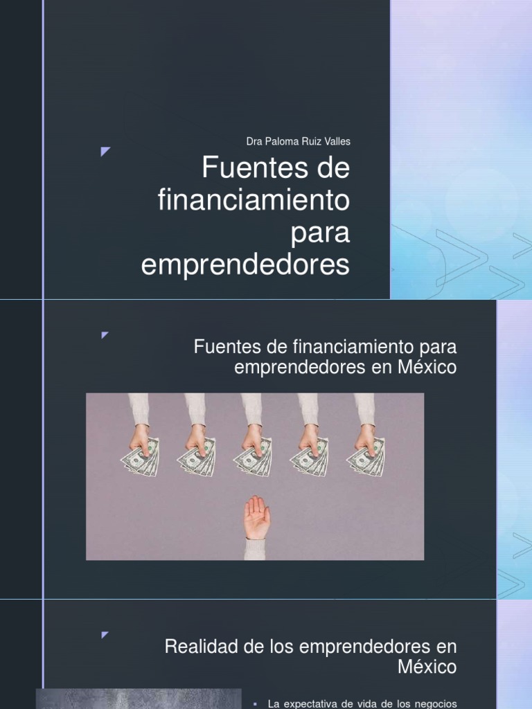 Fuentes De Financiamiento Para Emprendedores Pdf Iniciativa