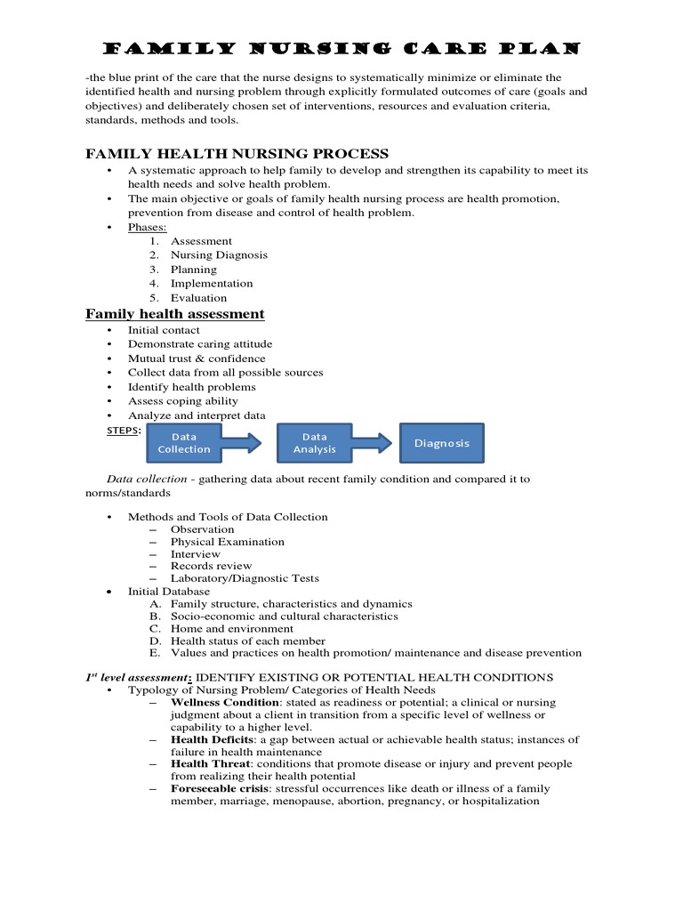 Family Nursing Care Plan | PDF | Evaluation | Nursing