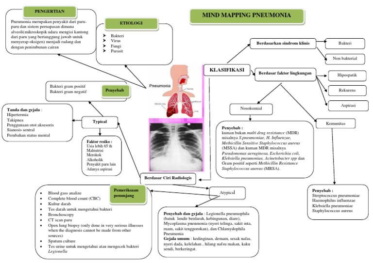 Mind Map Pneumonia dan Bakteri | PDF