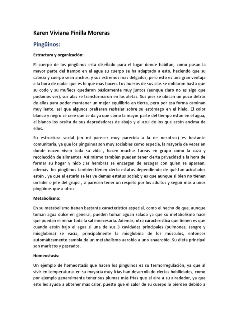 Características y vida de los pingüinos | PDF | Pingüino | Pluma