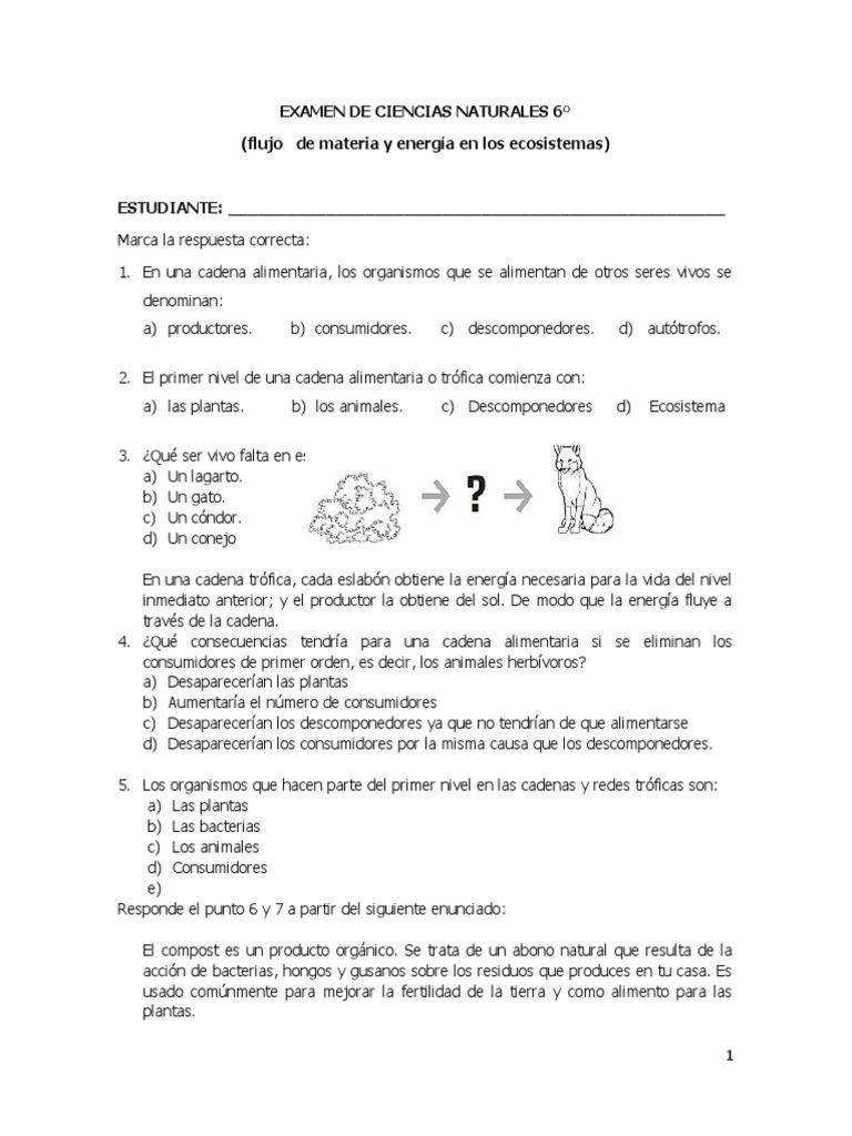 Examen de Ciencias Naturales sobre flujo de materia y energía en los ...