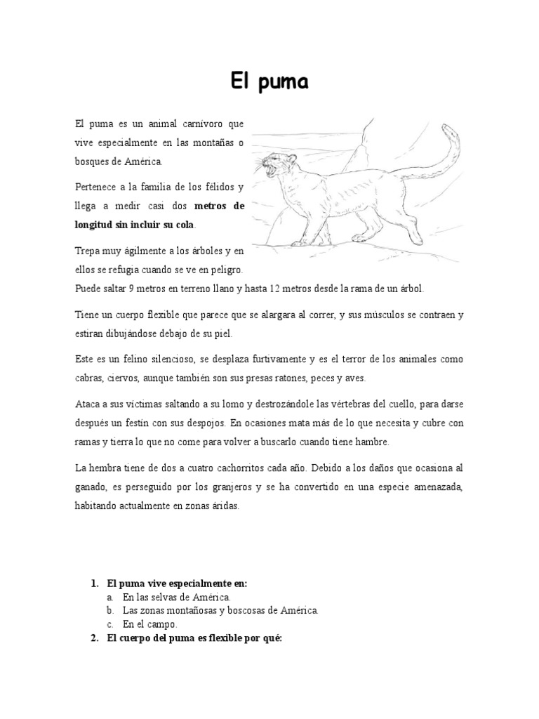 El Puma | PDF