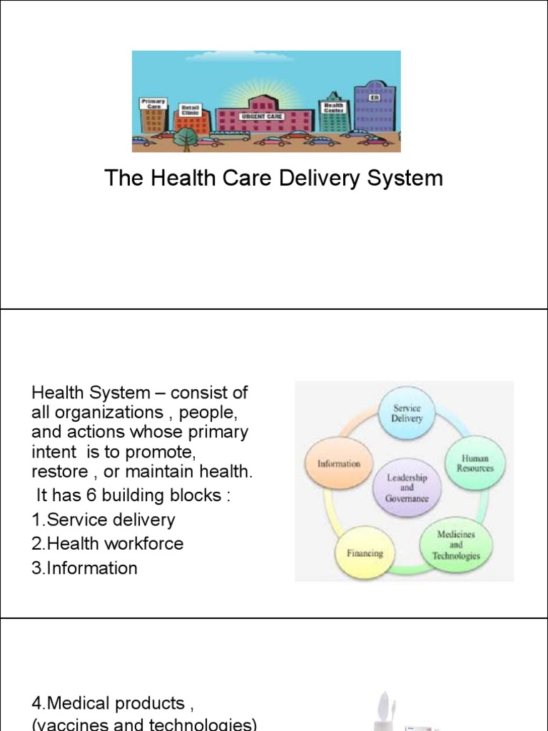 The Health Care Delivery System | PDF | Millennium Development Goals ...