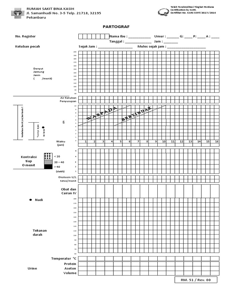 Rm. 51. Partograf | PDF