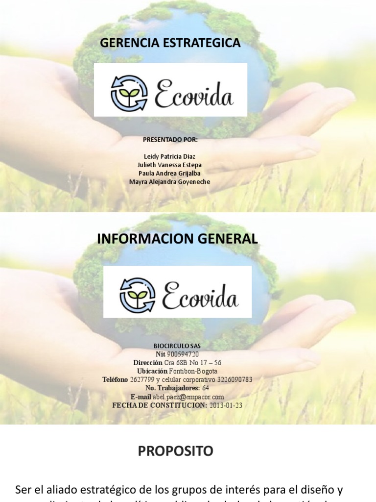 Estrategias de Ecovida para Sostenibilidad | PDF | Sustentabilidad ...