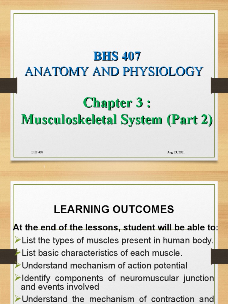 Chapter 3 Musculoskeletal System Part 1 | PDF | Muscle Contraction ...