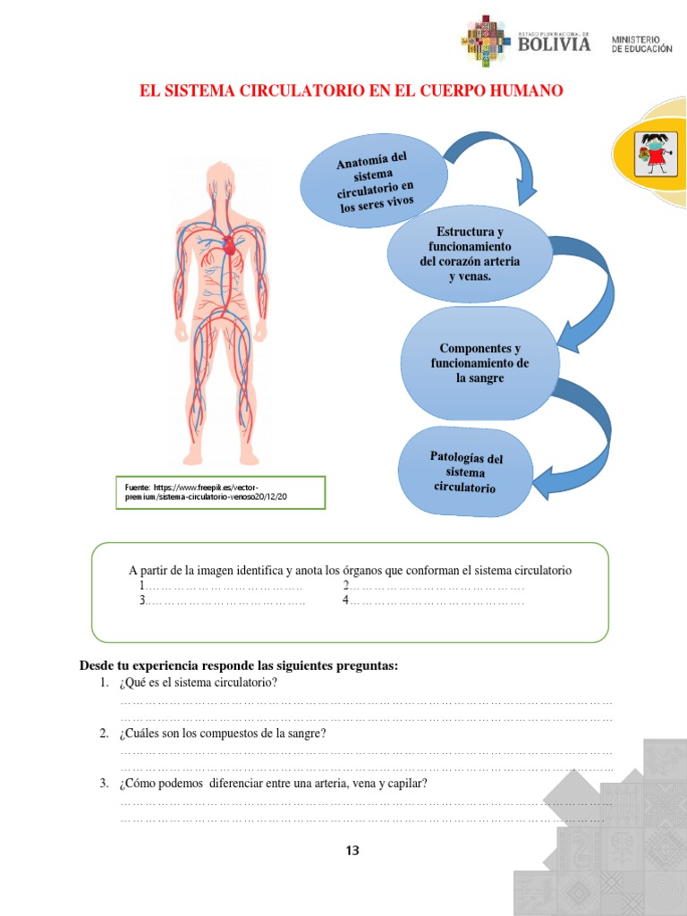 4º de Secundaria Bio Tema1 | PDF | Sangre | Leucocito