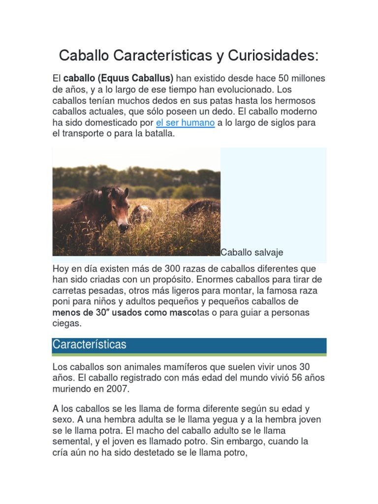 Caballo Características y Curiosidades | PDF | Caballos | Zoología