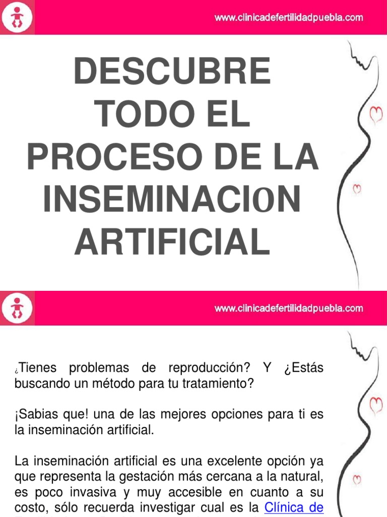 Descubre Todo El Proceso de La Inseminaci ON Artificial | PDF | El embarazo | Semen