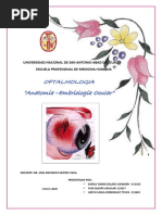 Cápsula de Tenon: Anatomía y Tenonitis | PDF | Ojo humano | Ojo