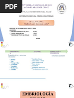 Inserto Spinreact | PDF | Colesterol | Glucosa