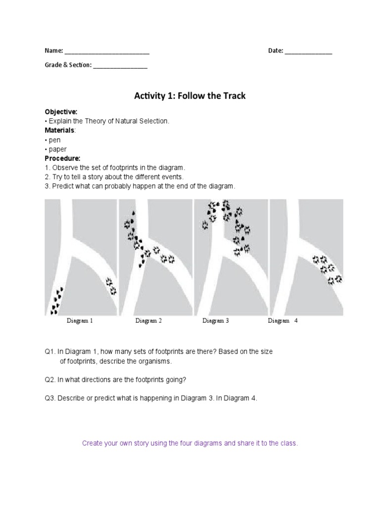 Activity 1: Follow The Track: Objective: Materials | PDF