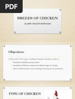 Breeds, Varieties and Strains of Poultry | PDF | Chicken | Poultry