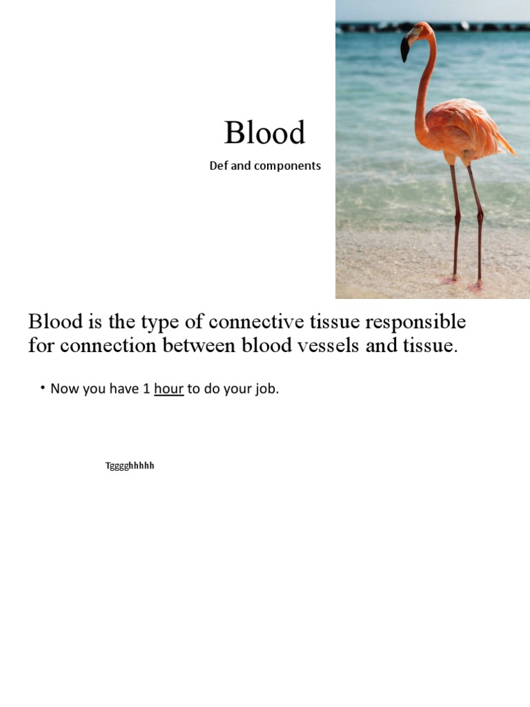 Blood: Def and Components | PDF | Self-Improvement