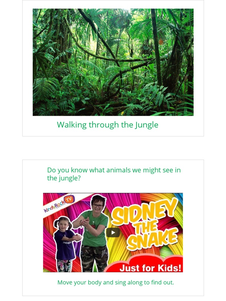 Jungle Animal Exploration Activities | PDF