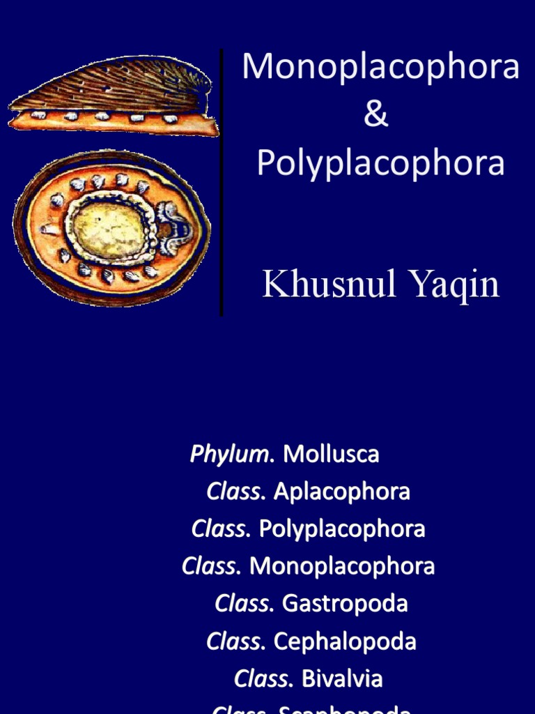 Monoplacophora Dan Poly | PDF | Ilmu Sosial | Kajian Bahasa Asing