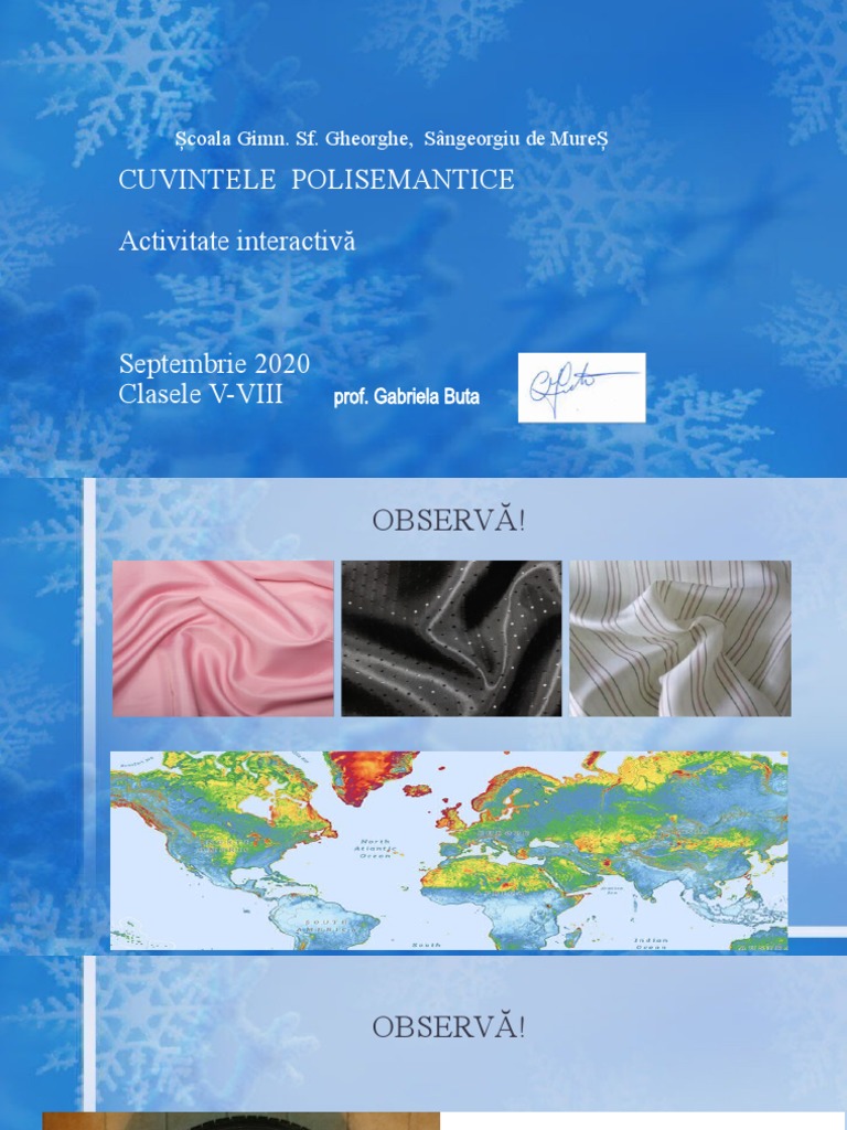 Paronimie Lecție | PDF