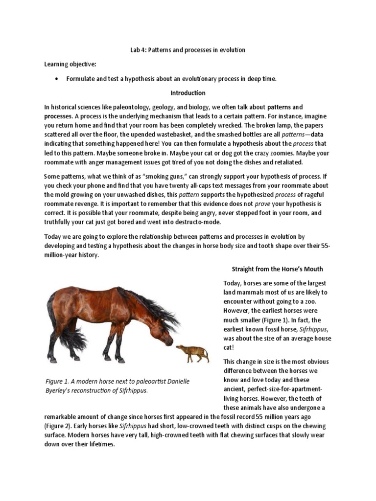 Figure 1. A Modern Horse Next To Paleoartist Danielle Byerley's ...
