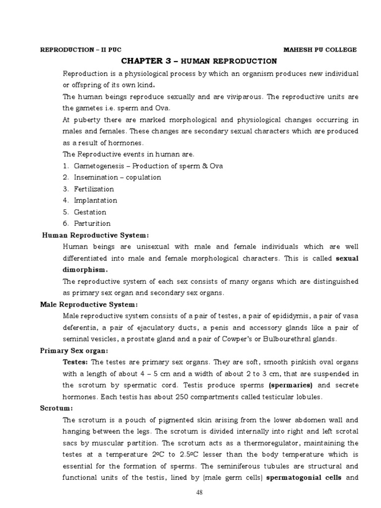 Human Reproduction - II Puc - Regular Notes | Download Free PDF ...