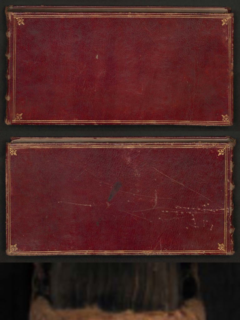 Pieces From The Baroque Lute Manuscript Wien Mus Hs 18829 | PDF