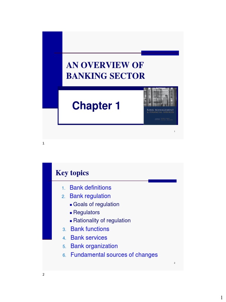 CHAP - 01 - An Overview of Banking Sector | PDF | Banks | Federal Reserve