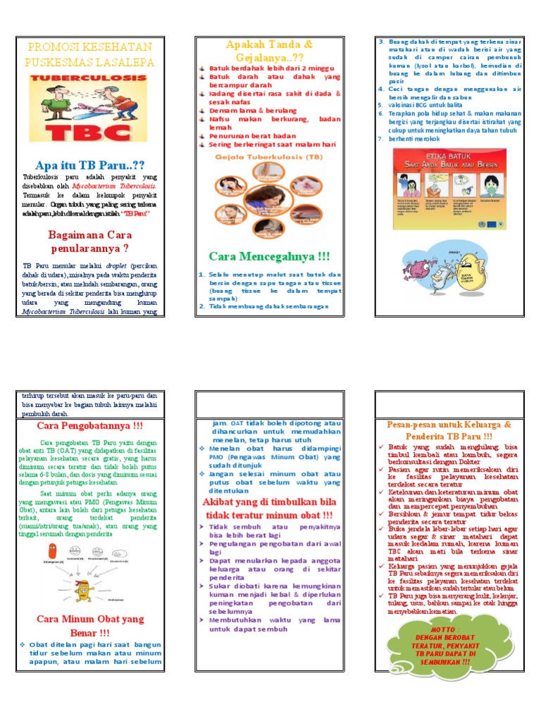Leaflet TB | PDF