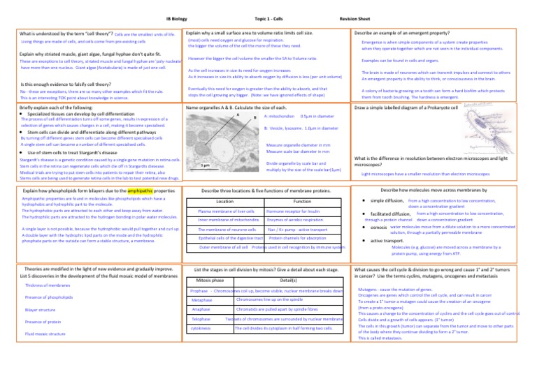 IB Biology Topic 1 - Cells Revision Sheet | PDF | Cell Membrane | Cell ...