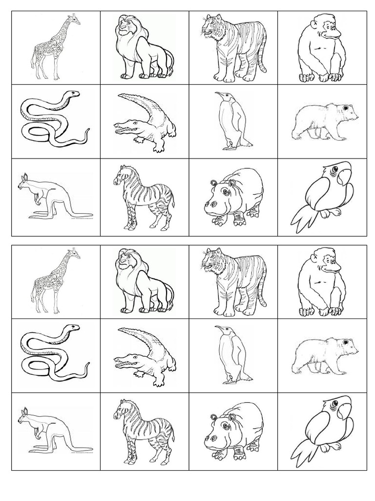 Wild Animals Memory Flash Cards Flashcards Fun Activities Games Games ...