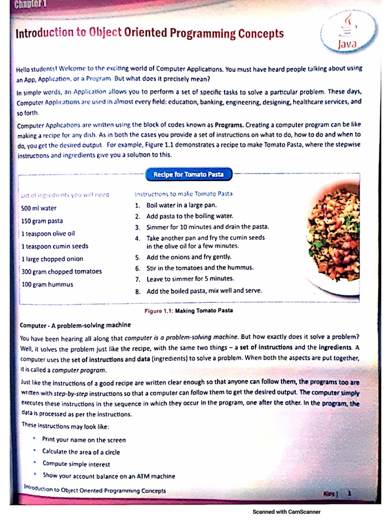 Class 9 Logix Ch 1 Introduction To Oop Pdf 