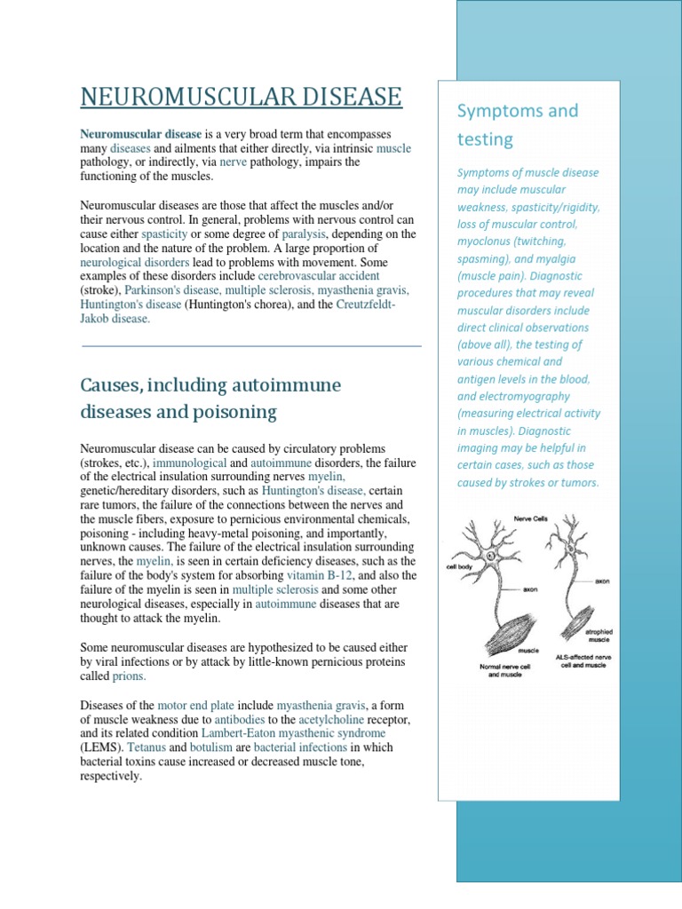 Neuromuscular Disease | PDF | Medical Specialties | Health Sciences