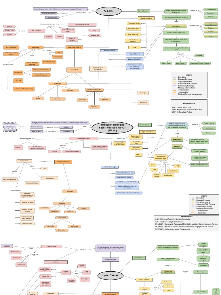 NF - DR - Concept Map - Week 11 | PDF | Lyme Disease | Methicillin ...