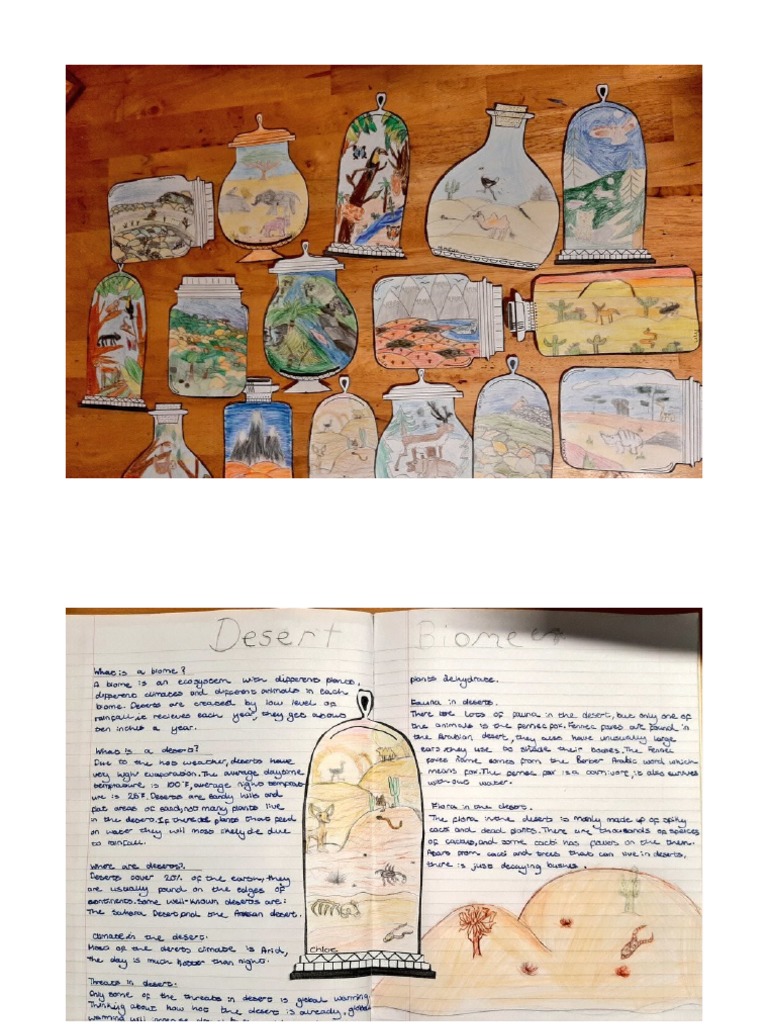 Biomes in A Jar | PDF