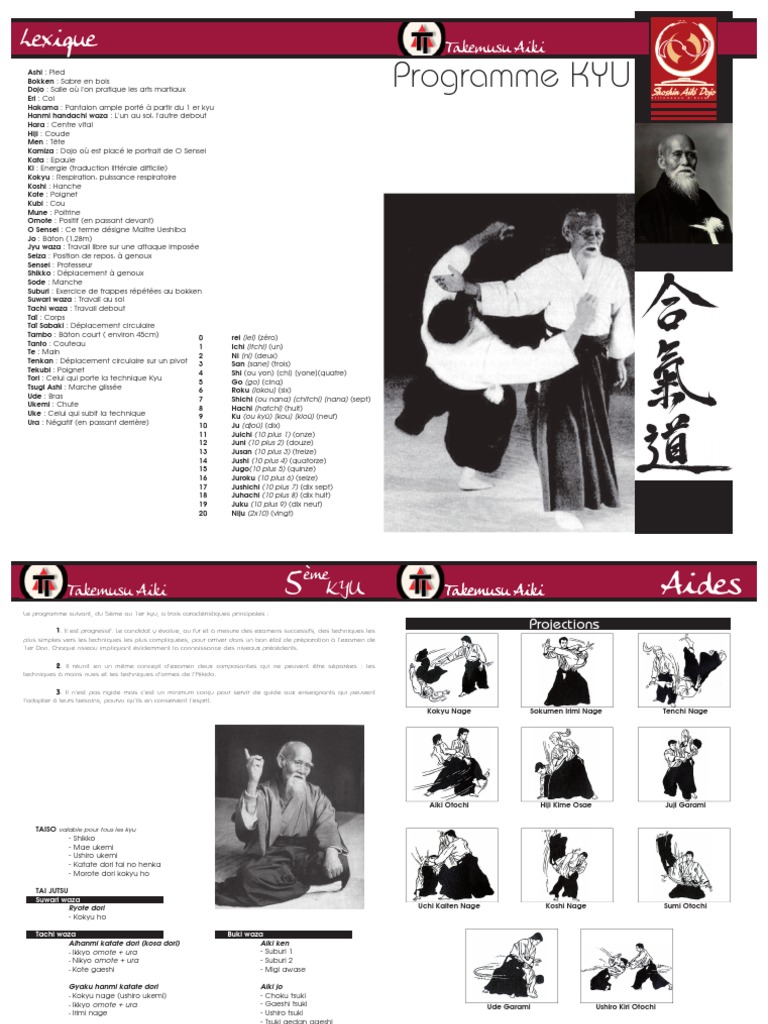 02.programme Kyu SHOSHIN | PDF | Aïkido | Arts martiaux en Extrême-Orient