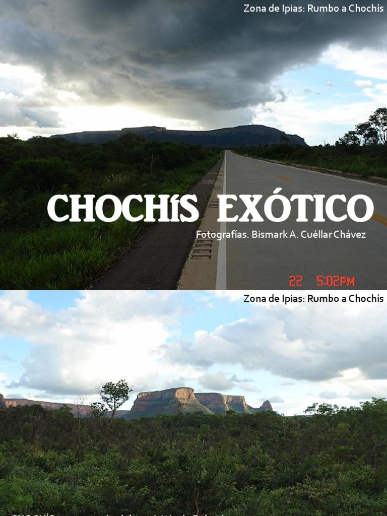 Chochis Exotico | PDF