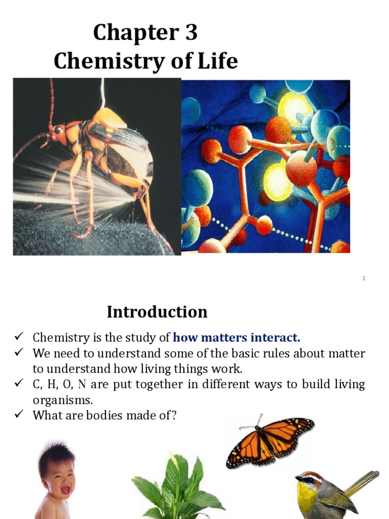 Essentials of Life Chemistry | PDF | Water | Carbohydrates