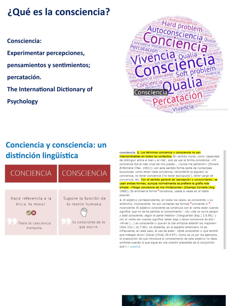 Breve Introduccion Al Estudio de La Consciencia. | PDF | Mente | Conciencia