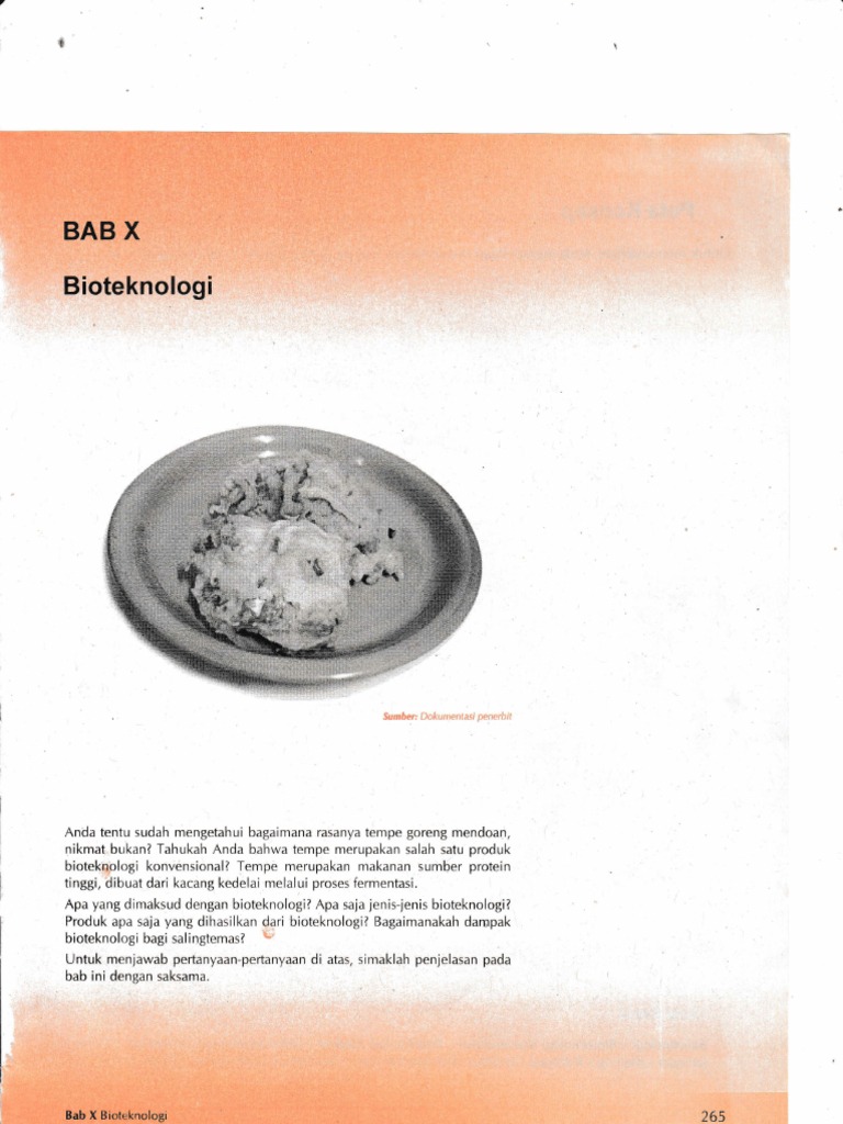 Annisa Febriani - Bab X Bioteknologi - 0001 | PDF