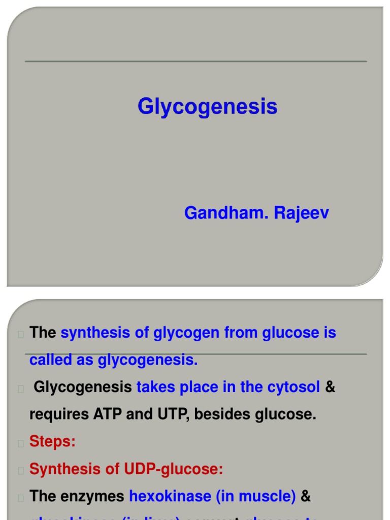 Glycogenesis Process | PDF | Glycogen | Biosynthesis