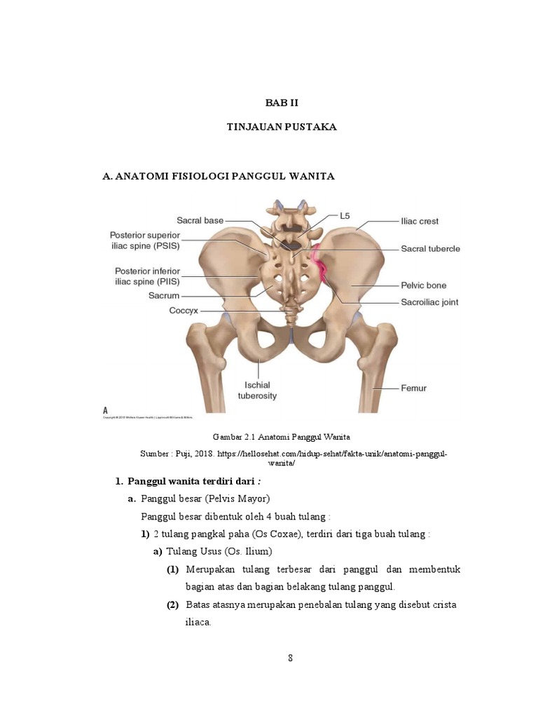 Bab Ii Kti CPD | PDF