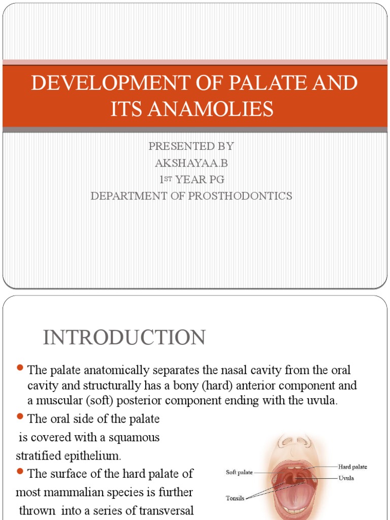 Palate Development and Anomalies Overview | PDF | Epithelium | Anatomy