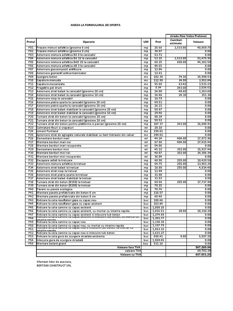 Anexa Formular Oferta 6 Copie | PDF