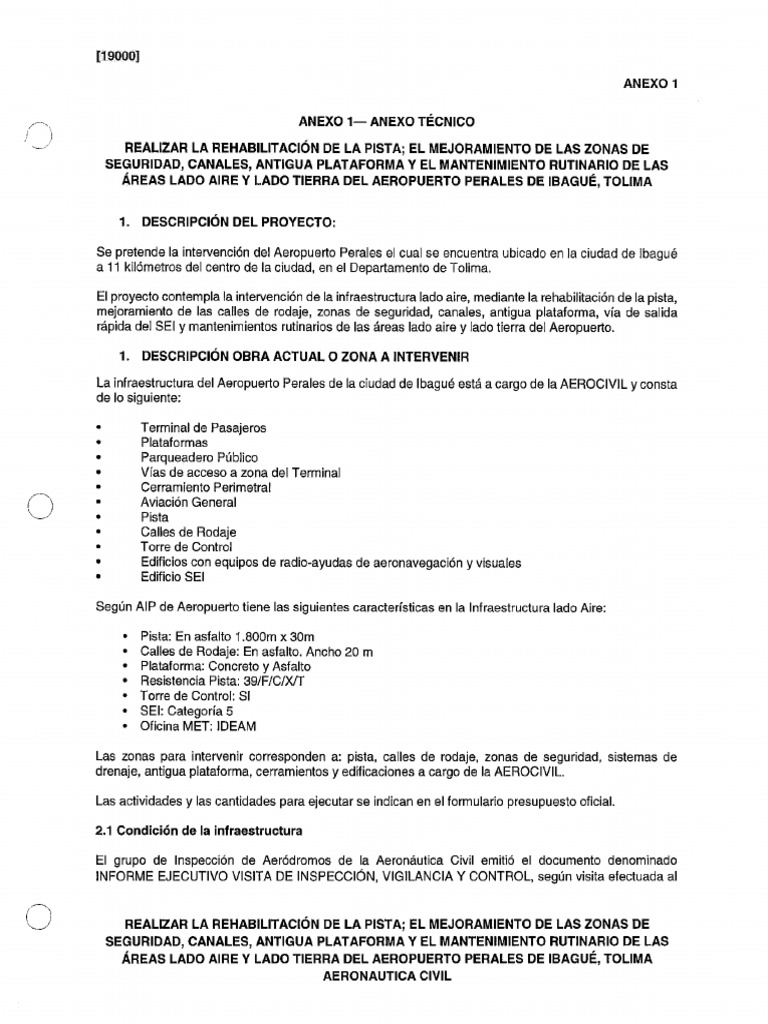 Anexo 1 - Anexo Tecnico | PDF